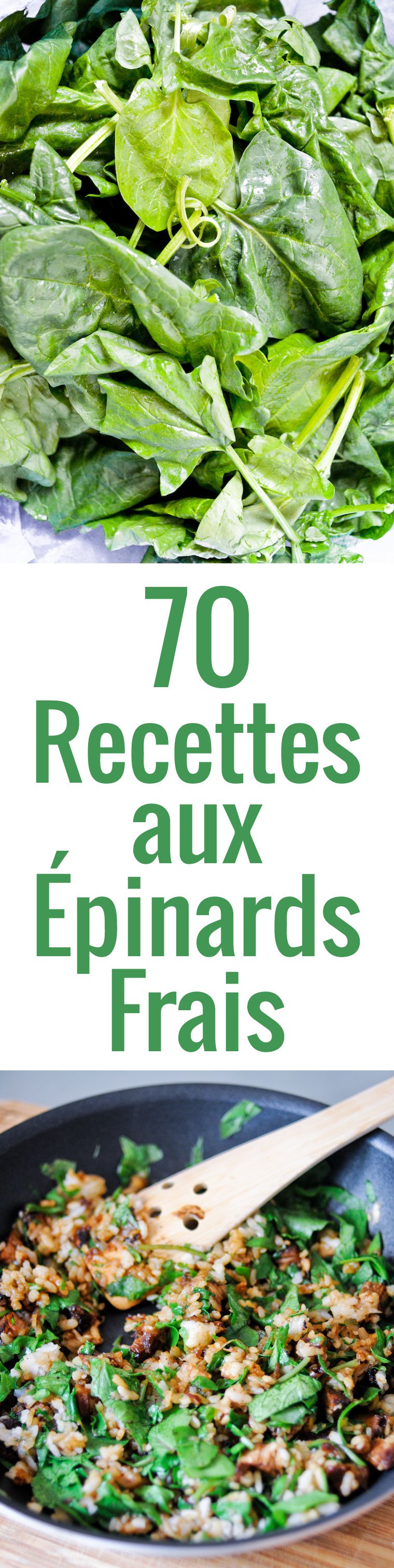 Recettes d'épinards : 70 Idées pour utiliser les épinards frais ...