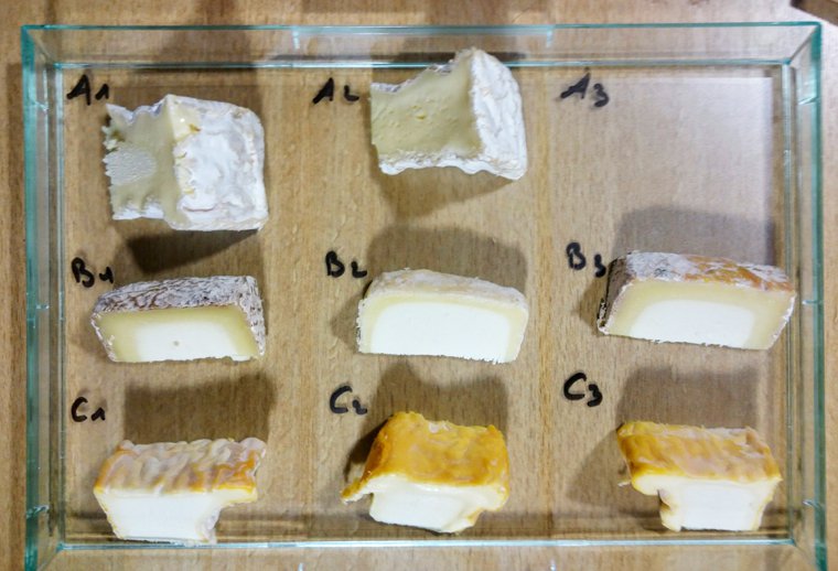 Fromage et Affinage : Tout ce que vous avez toujours voulu savoir ...