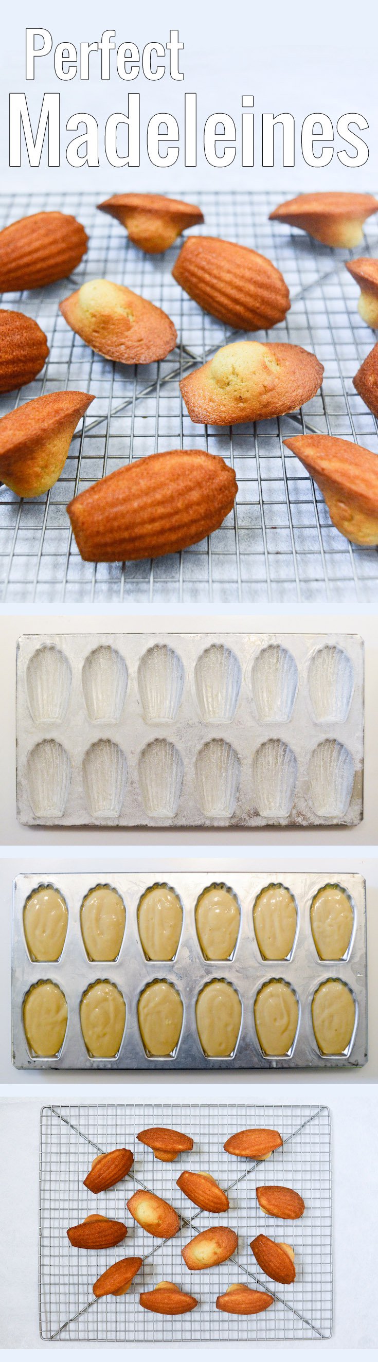 Perfect Madeleines Recipe | Chocolate & Zucchini