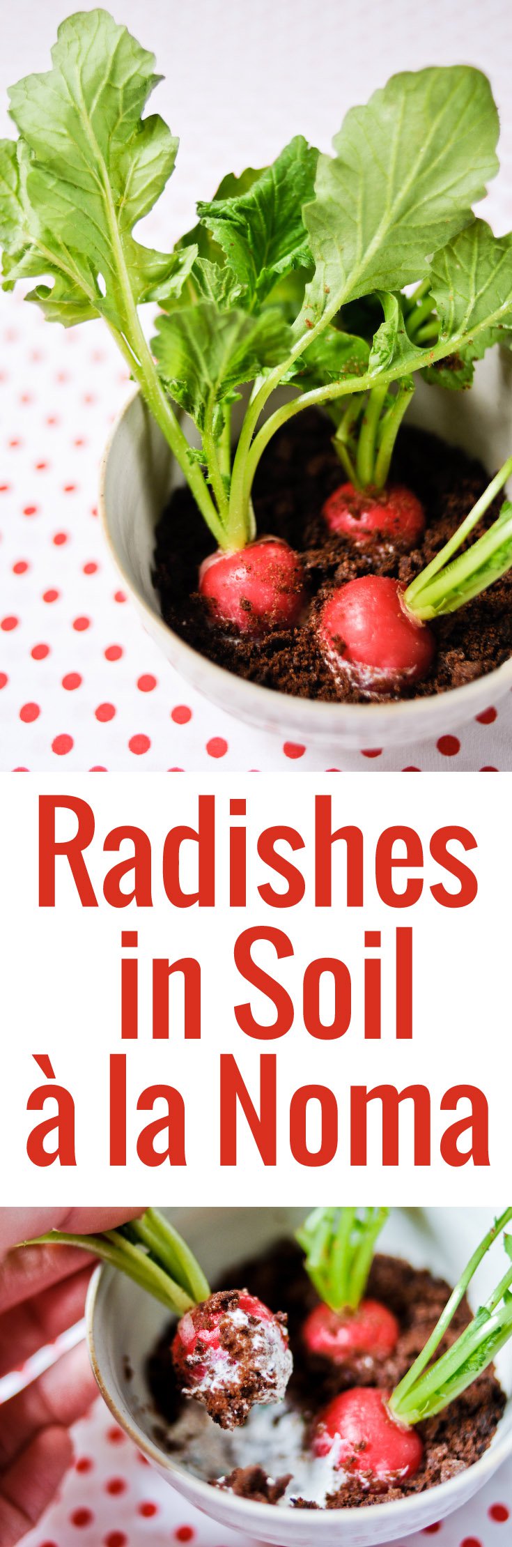 Radishes in Soil à la Noma Recipe | Chocolate & Zucchini