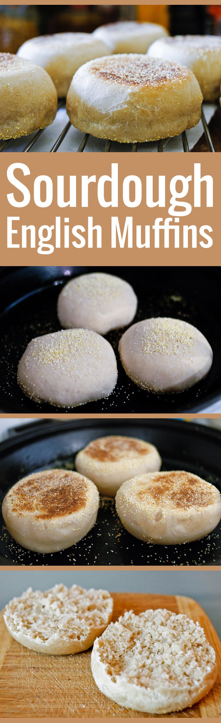 Sourdough English Muffins Recipe Chocolate Zucchini sourdough-english-muffins-recipe-chocolate-zucchini
